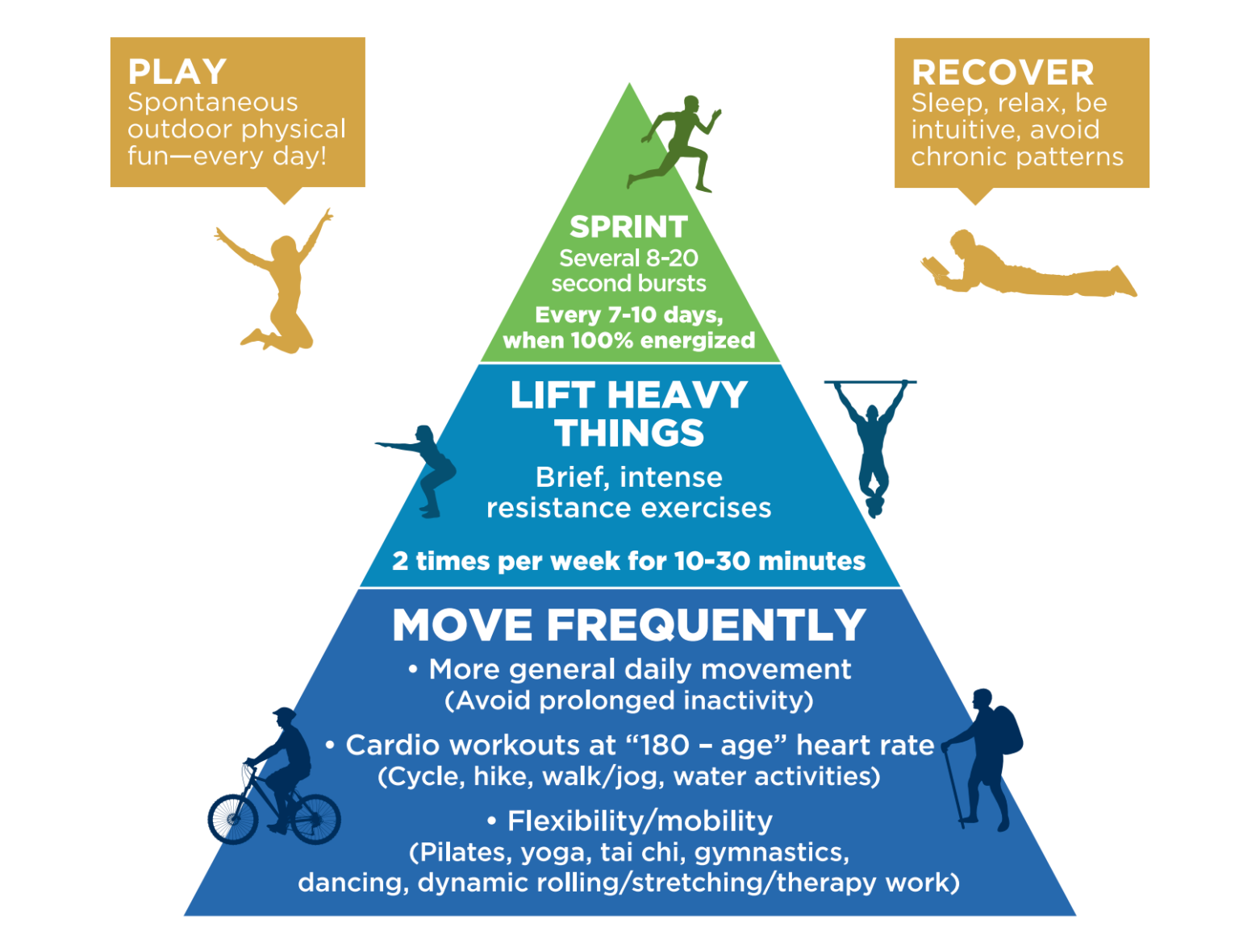 What’s Wrong with Chronic Cardio? - myPrimalCoach