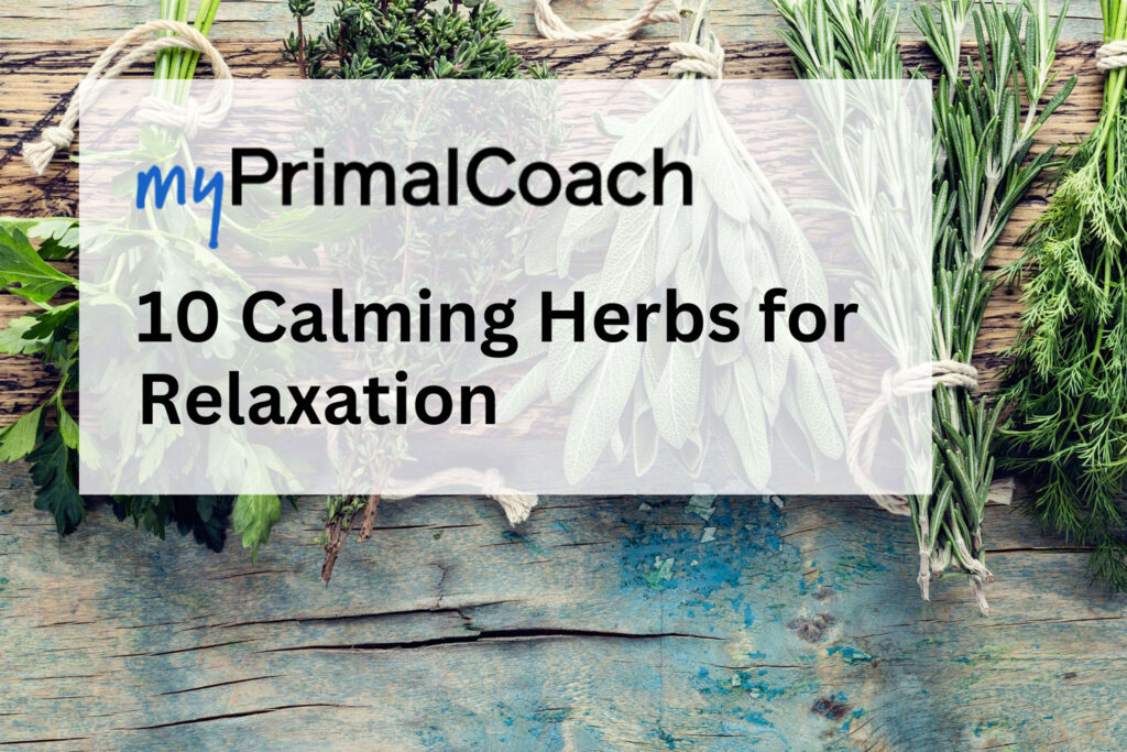 10 Calming Herbs for Relaxation - myPrimalCoach